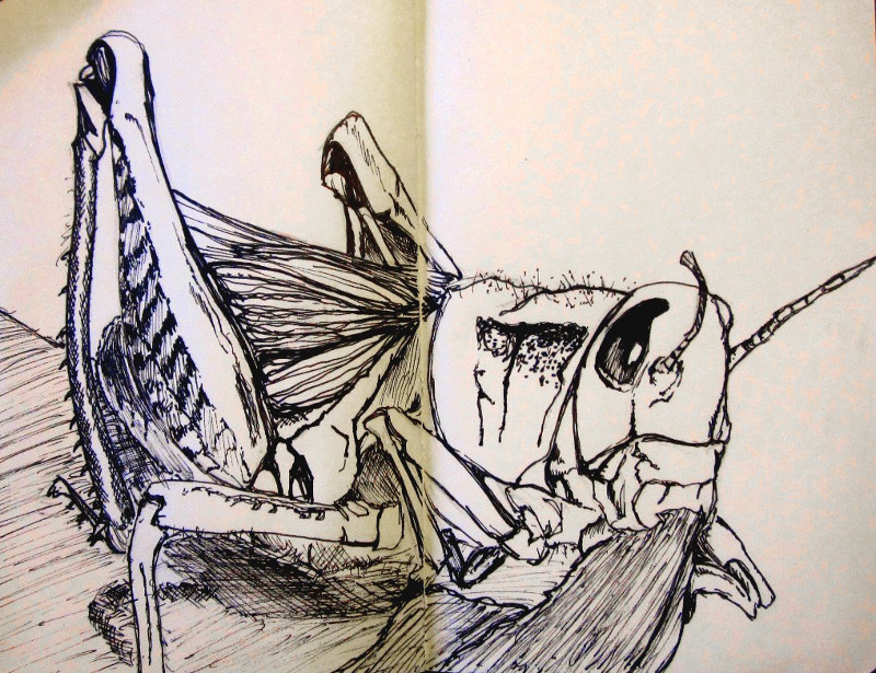 AbbyNormal: fables, body organs, and Mother Goose