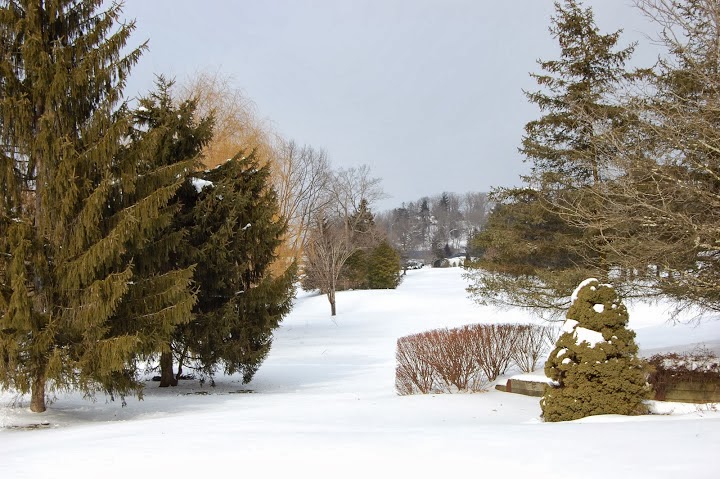 Slone Ranger: Winter at The Greenbrier