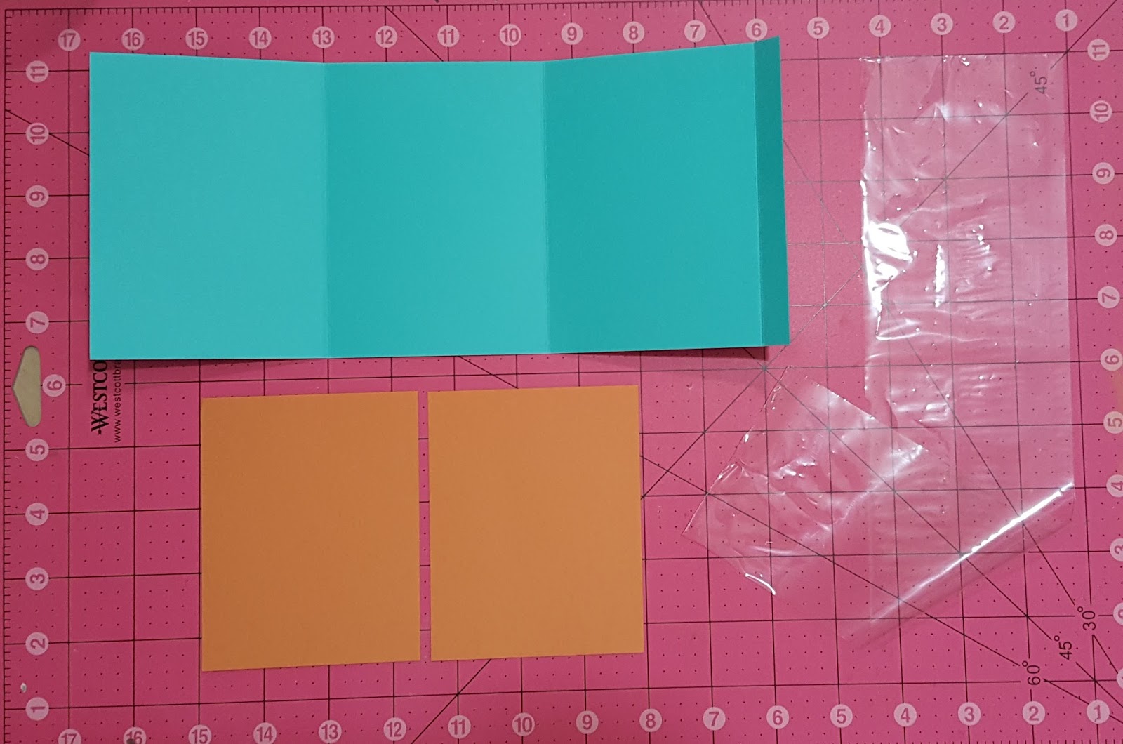 Double Sliding Card | Picture Life