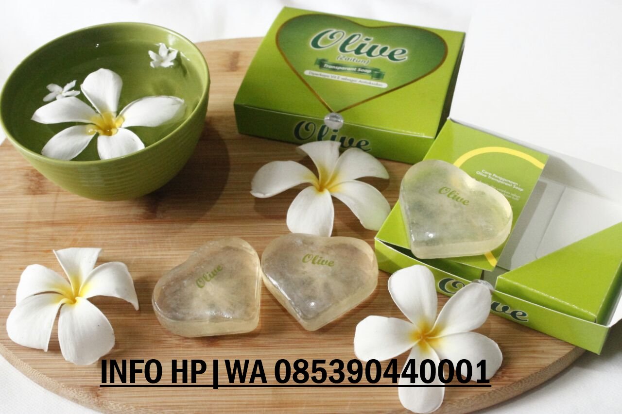 MANFAAT DAN KANDUNGAN SABUN OLIVE ZAITUN - BISNIS SABUN OLIVE ZAITUN ...