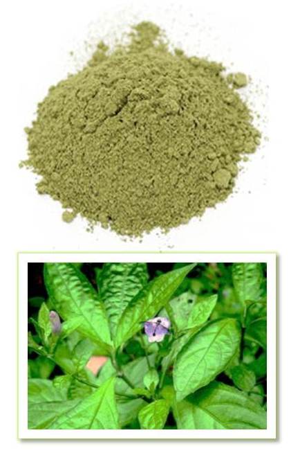 How to treat a sore throat