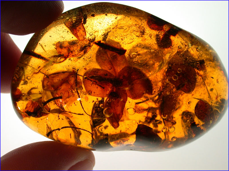 CONOCER MÉXICO POCO A POCO: - El Ambar de Chiapas