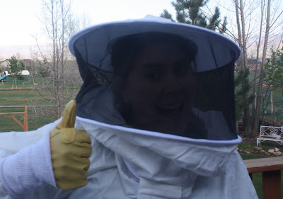 The Parsimonious Princess: A Bee-utiful Way to Spend an Evening: My ...