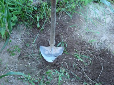 25 Aniversario IES Praia Barraña - Boiro: BOTAR, OU POÑER PATACAS DE ...