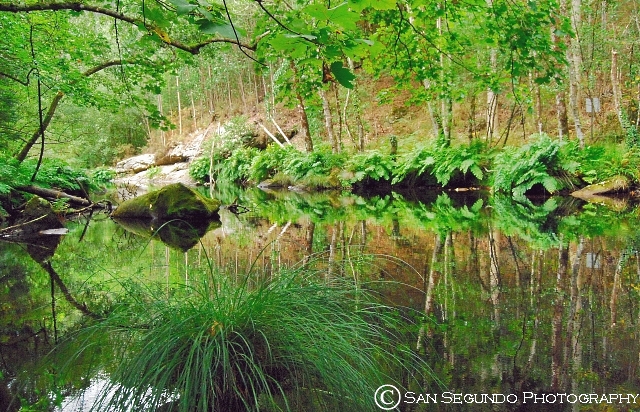 EL BUSCABOSQUES: "UNA VISITA A EL ABUELO" Souto da Retorta-Chavín ...