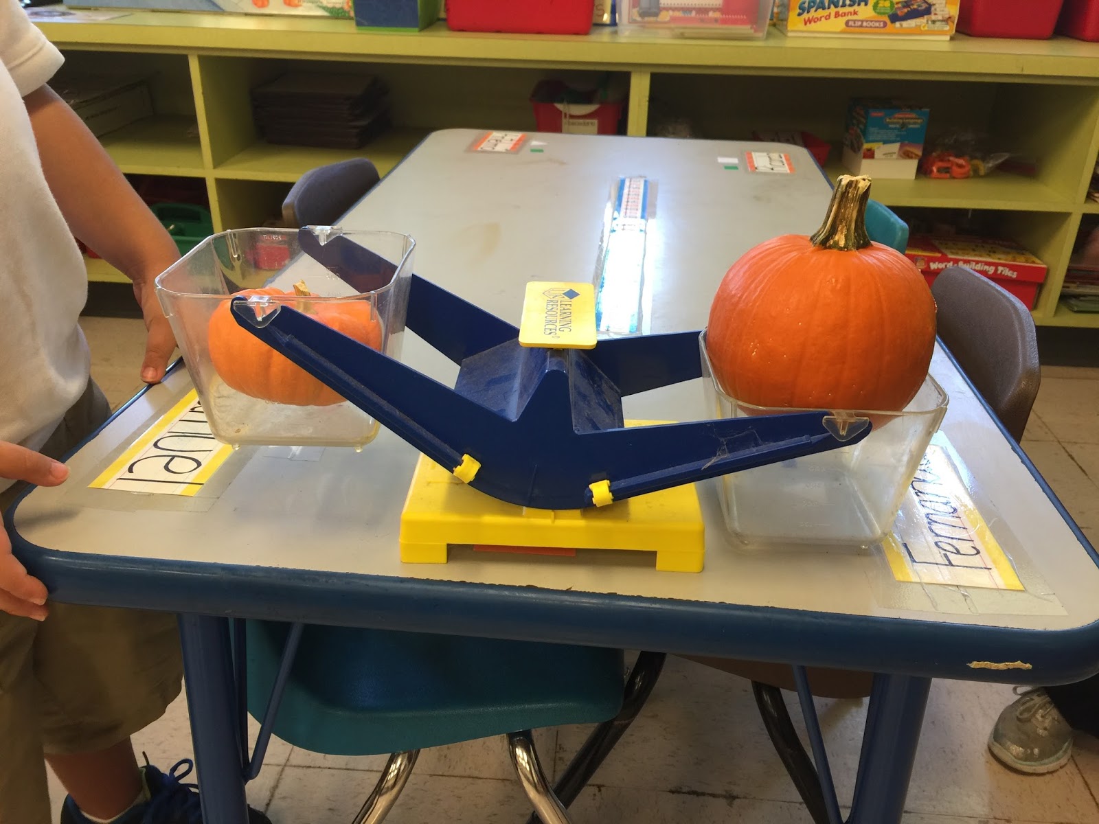 baul de ilusiones: Proyecto: Todo sobre las calabazas