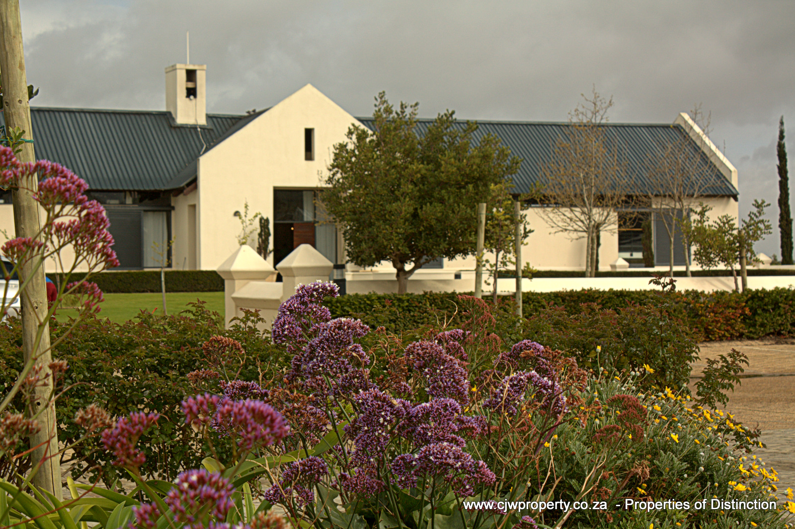 CroYdine - Properties of Distinction Between the Grapevines of CroYdon ...