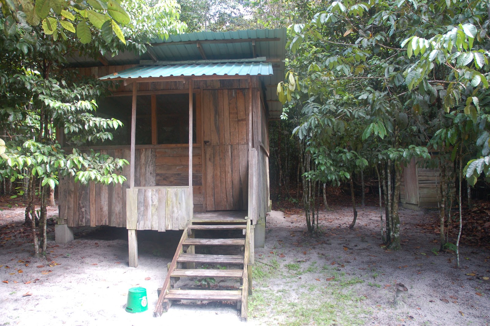 Patricia and Jean-Claude in Guyana: Un weekend à la campagne – Pandama ...