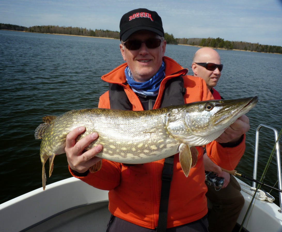 Rospiggen Fiske: Roslags Pike 2014