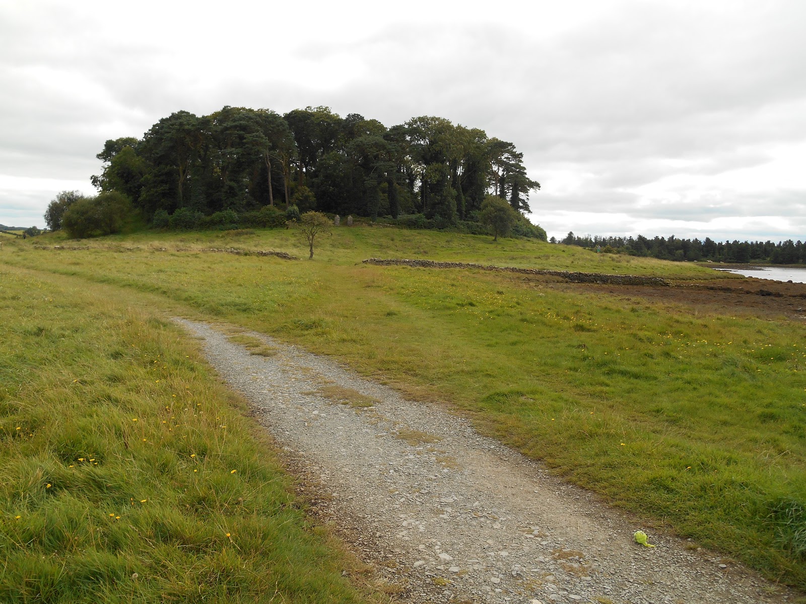 A lifetime of Islands: Island 294 - Gibbs Island, Strangford Lough ...
