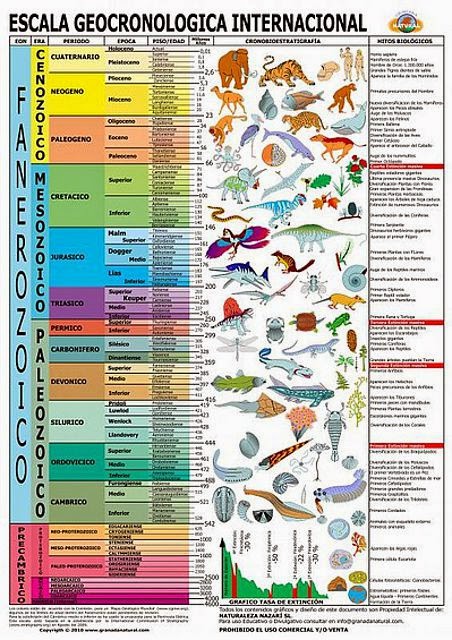 Seccion 21.2 Datacion De Edad Relativa De Las Rocas - Marcus Reid