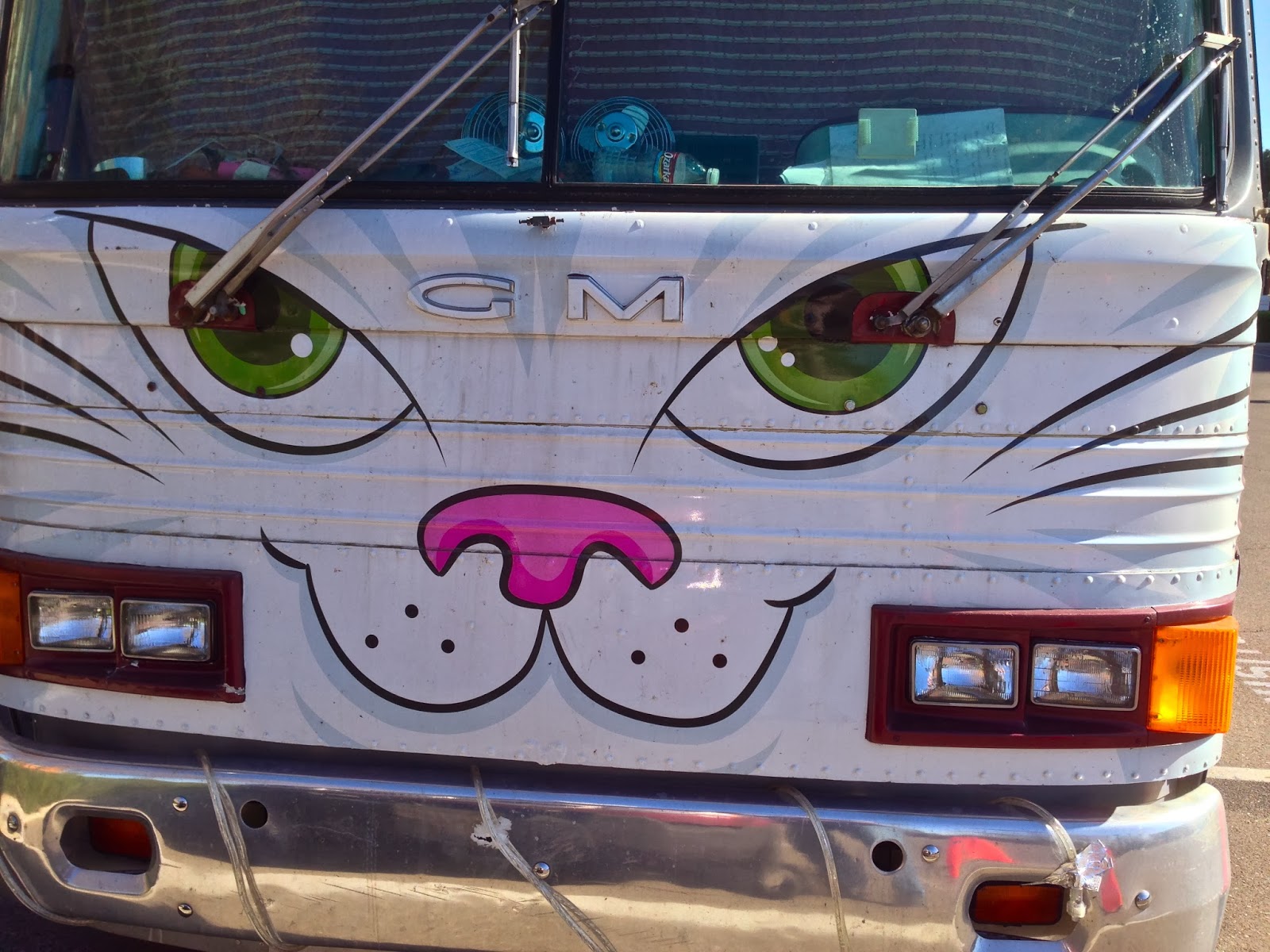 Scottsdale Daily Photo: Photo: Cat-Faced Bus Front