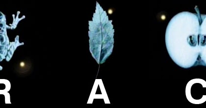 Fringe Glyph Code 511: "The Boy Must Live" ~ Fringe Television - Fan ...