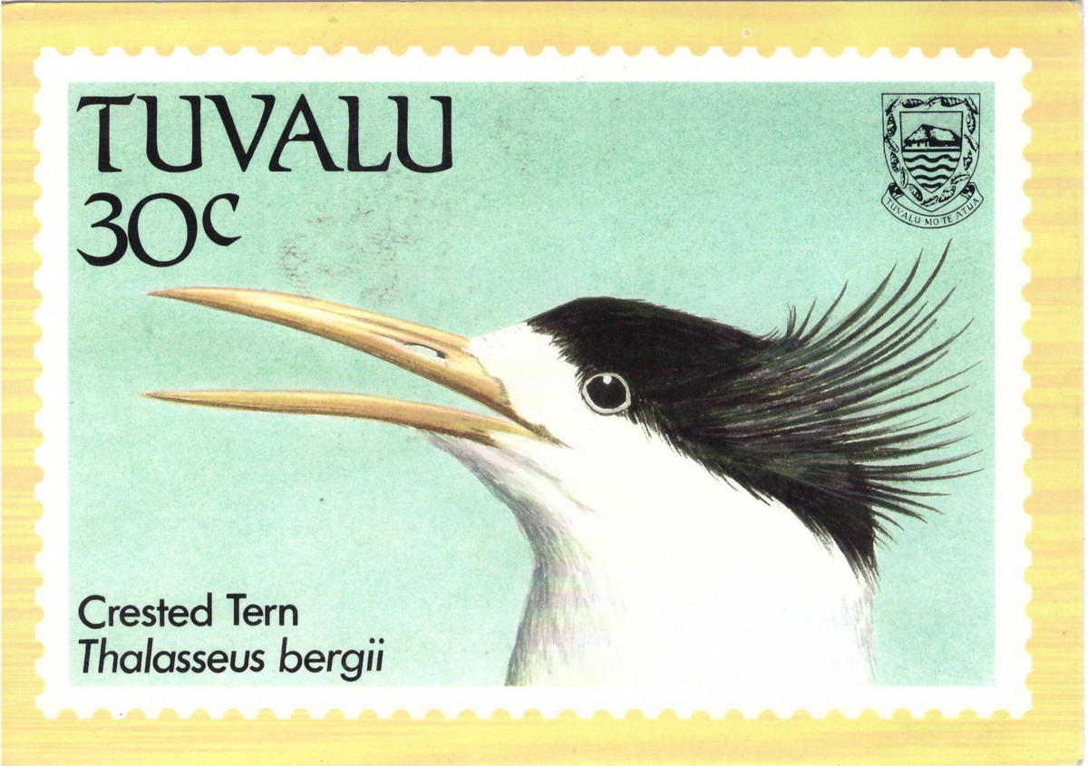 The World in Postcards