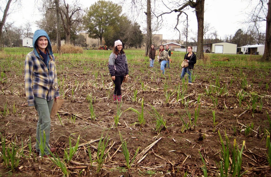 The New Acadia Project: The Search for New Acadia Continues: the Winter ...