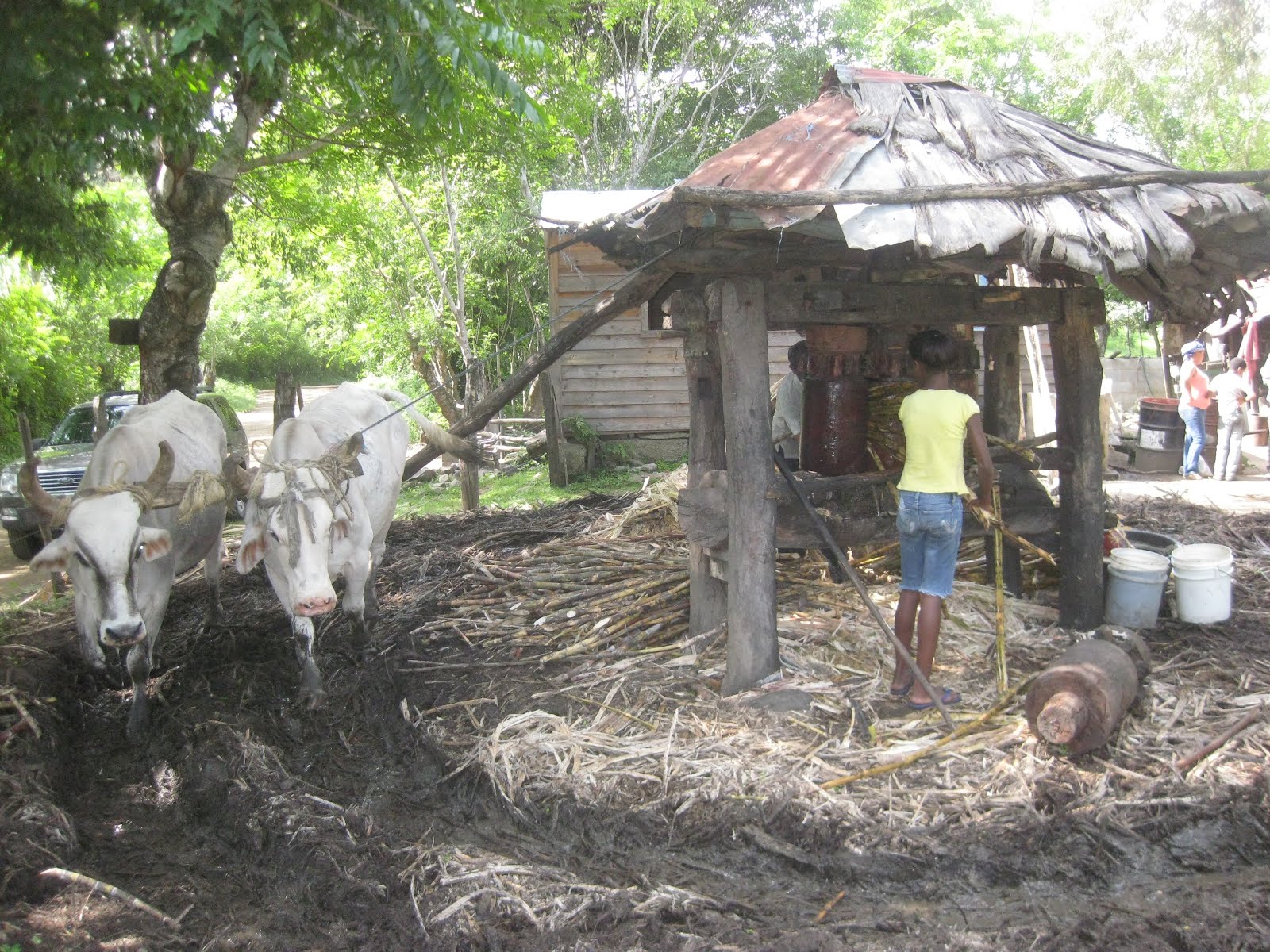 Hato Mayor: corazón del agroturismo en la región Este