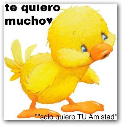 Amor de pollitos tiernos - Imagui