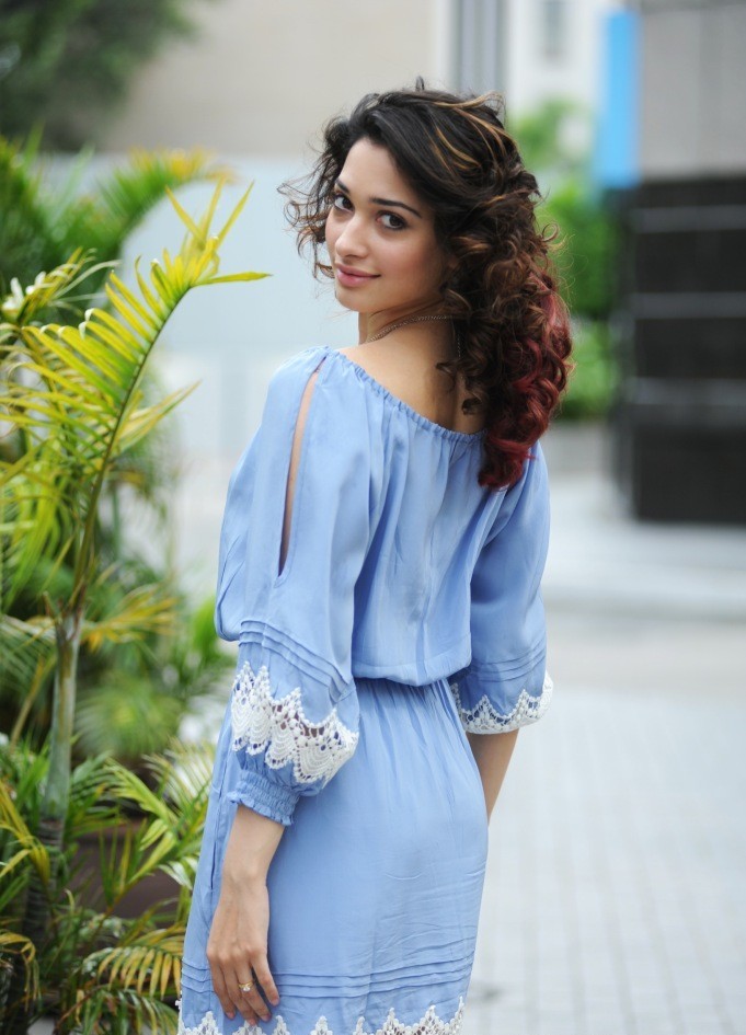 Oosaravelli Movie - Tollywood Official Film News