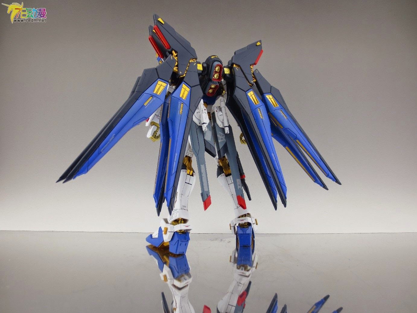 Gundam Family: MG 1/100 Strike Freedom Gundam Custom Build