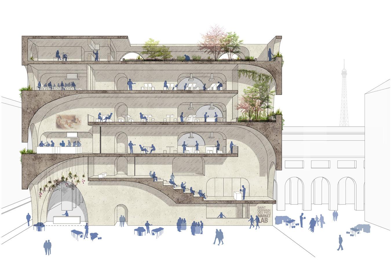 BAVS Arq – a f a s i a