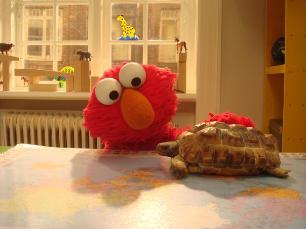 Thomas Roos: Elmo fra Sesamgade