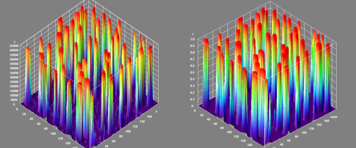 Sciency Stuff: Notes on Biological Image Analysis