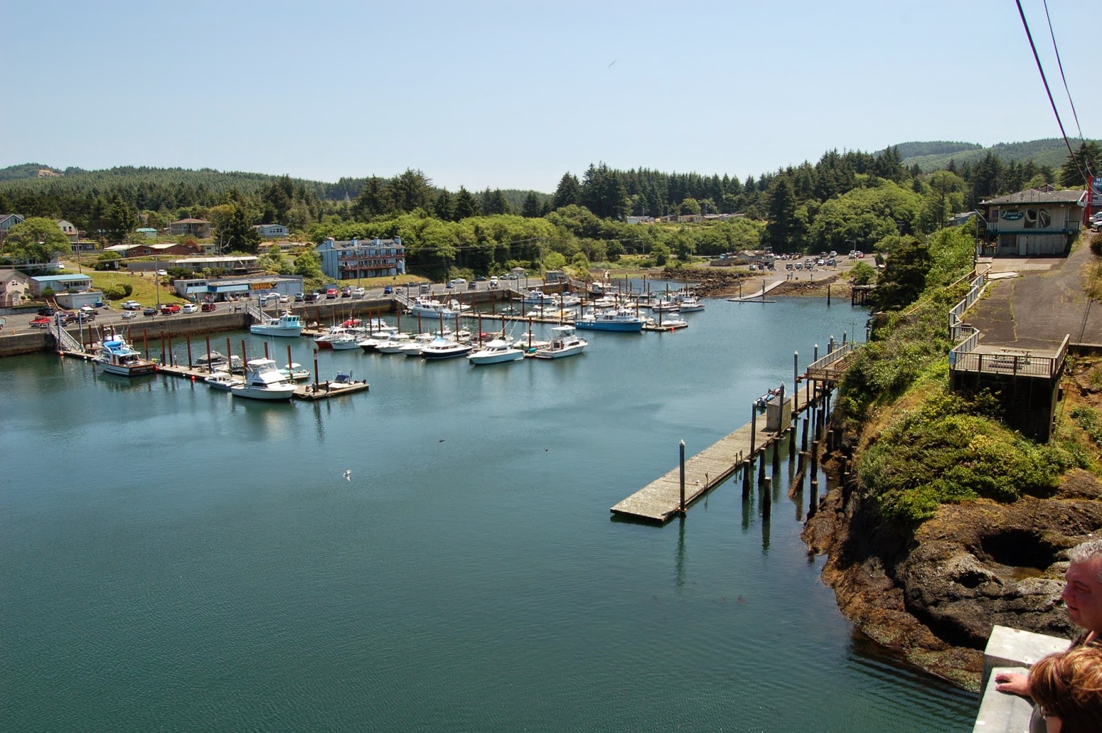 Outside The Interzone: Geo 730: April 13, Day 469: Depoe Bay