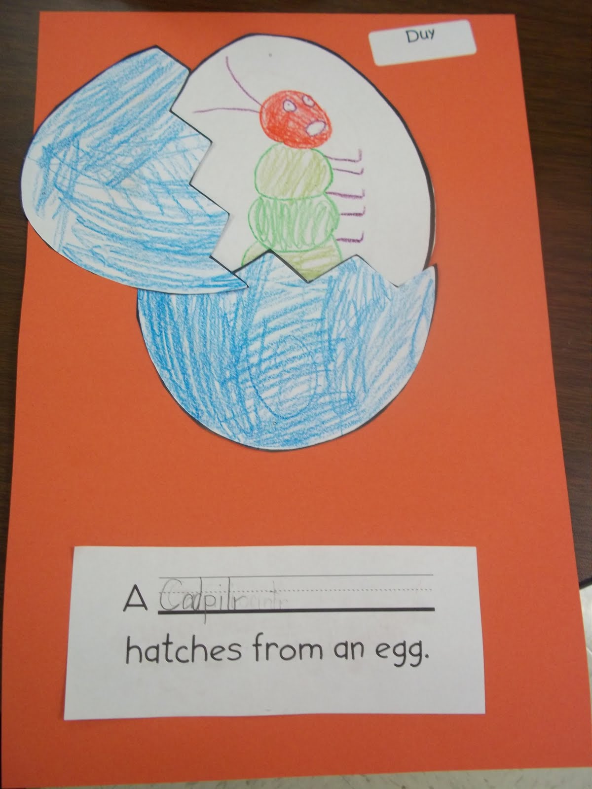 Mrs. Wood's Kindergarten Class: Oviparous Animals