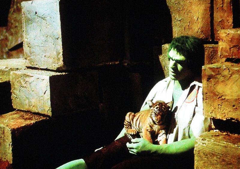 MUSINGS OF A SCI-FI FANATIC: The Incredible Hulk S1 Ep4: The Beast Within