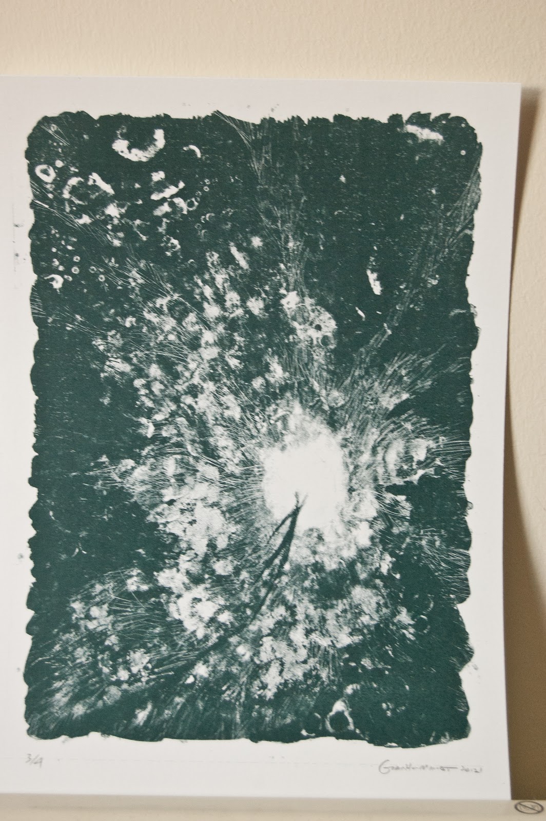 艺 术 领 域: Screen Print - Mark Making