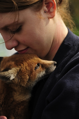 British Wildlife Centre ~ Keeper's Blog: December 2011