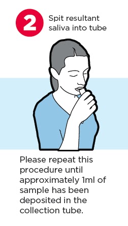 Rapid Saliva Test to Look for Laryngopharyngeal Reflux | Fauquier ENT Blog