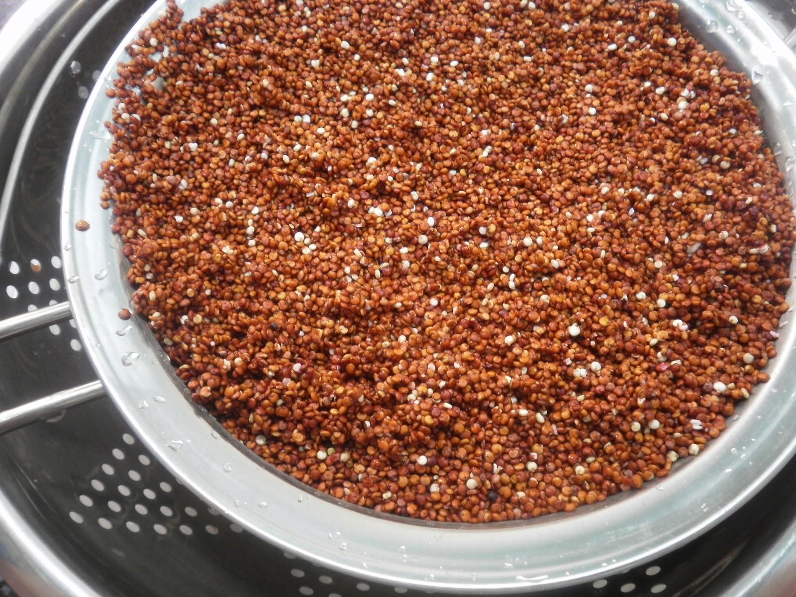 Red Quinoa and Chocolate Chip Cookies