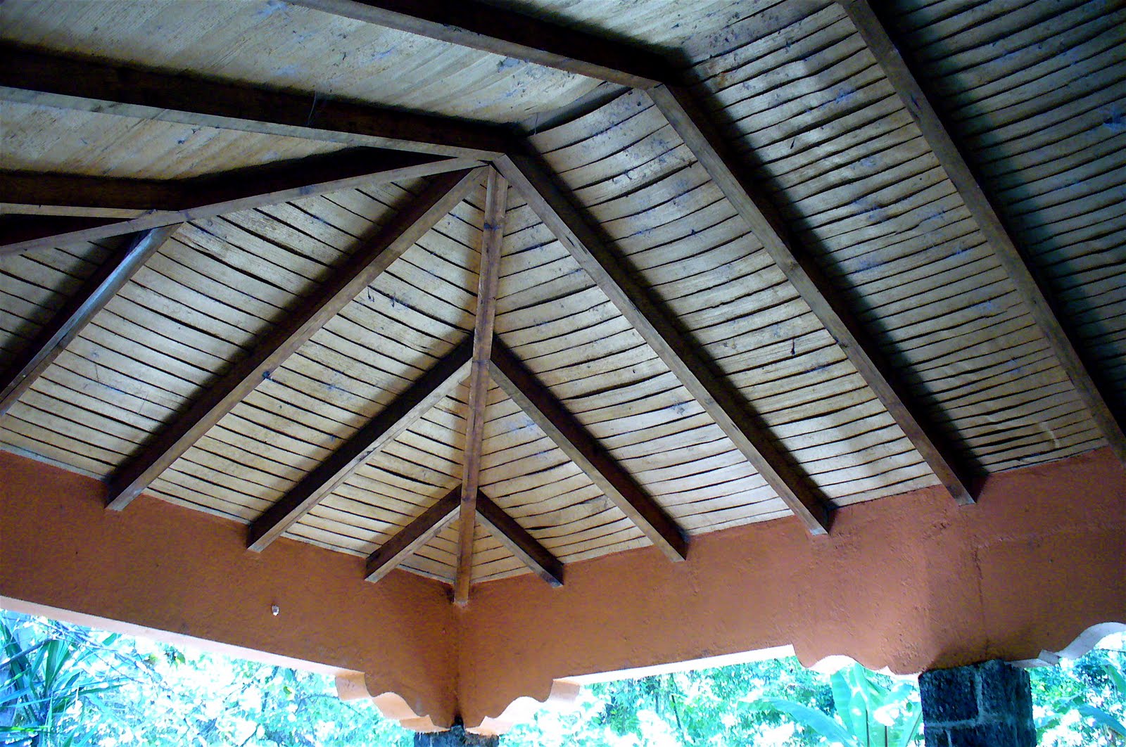 Alt. Build Blog: More On The Hip Roof