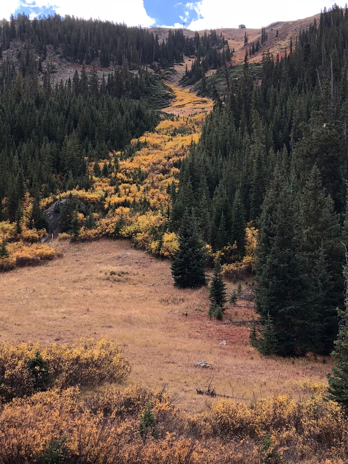 Al's Blog: Aspens in 1st Steep Gully