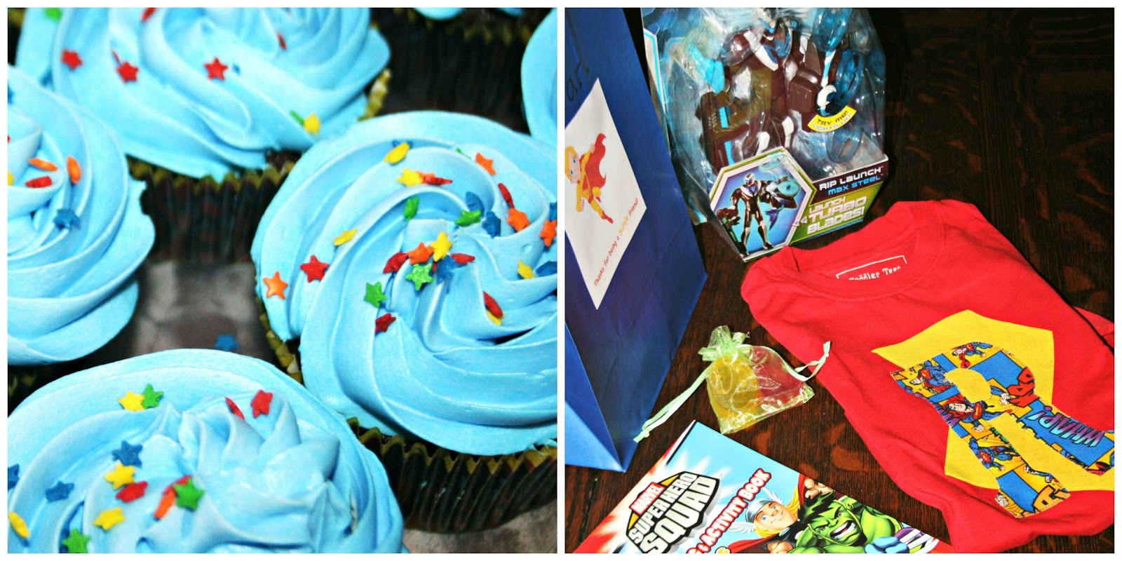 Two Bears Farm and the Three Cubs: A Superhero Party with Max Steel