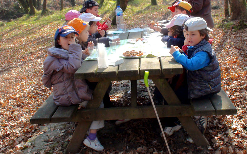 EU COCIÑO, TI COCIÑAS?: ESTO SÍ É UN... PINNIC!!!