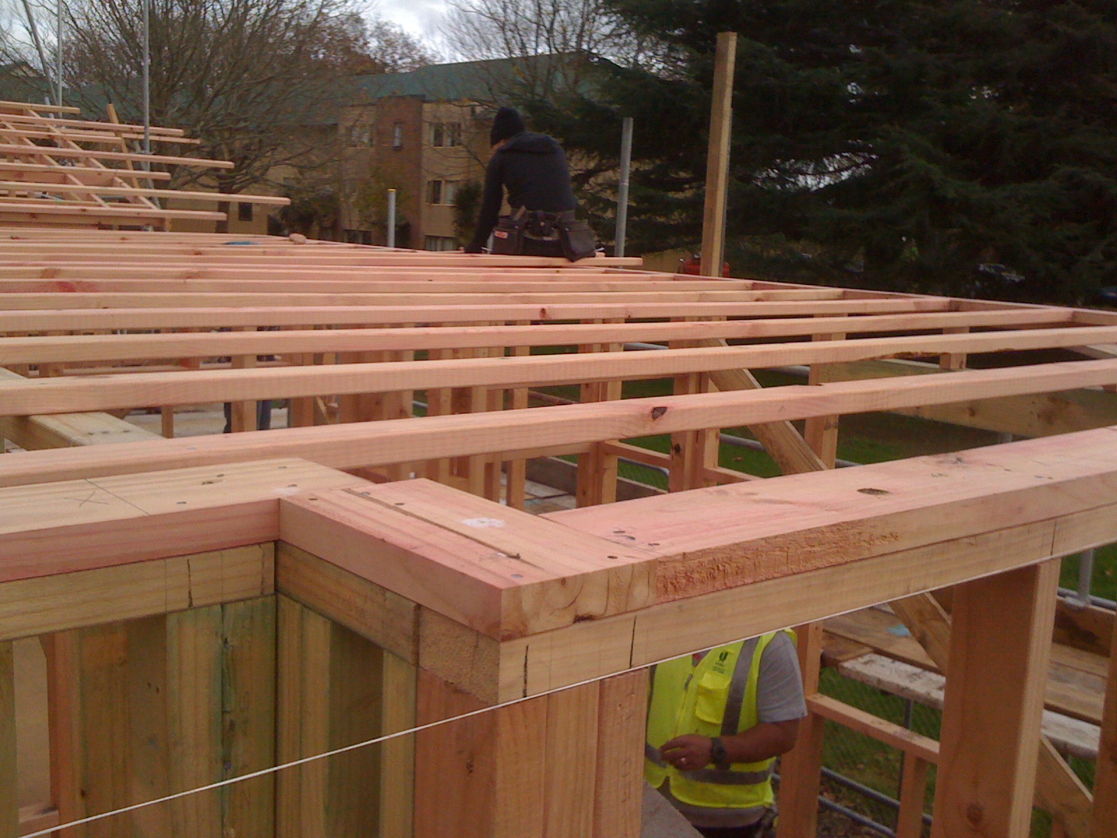 Robert Teh: week 13 unitec carpentry 15-18 june 2011