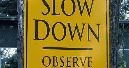 Family Travel Blog : 5 benefits to slow travel