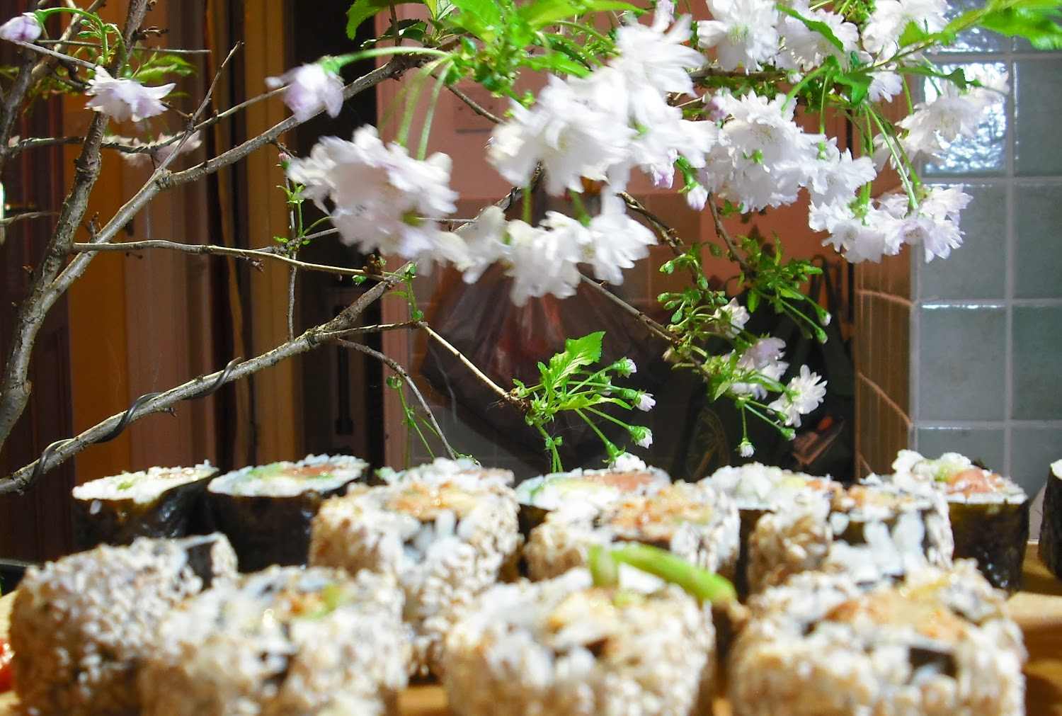 Foodycat: Sushi and gyoza and cherry blossom and Spring