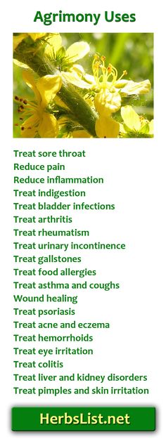 The Herb Hound: AGRIMONY