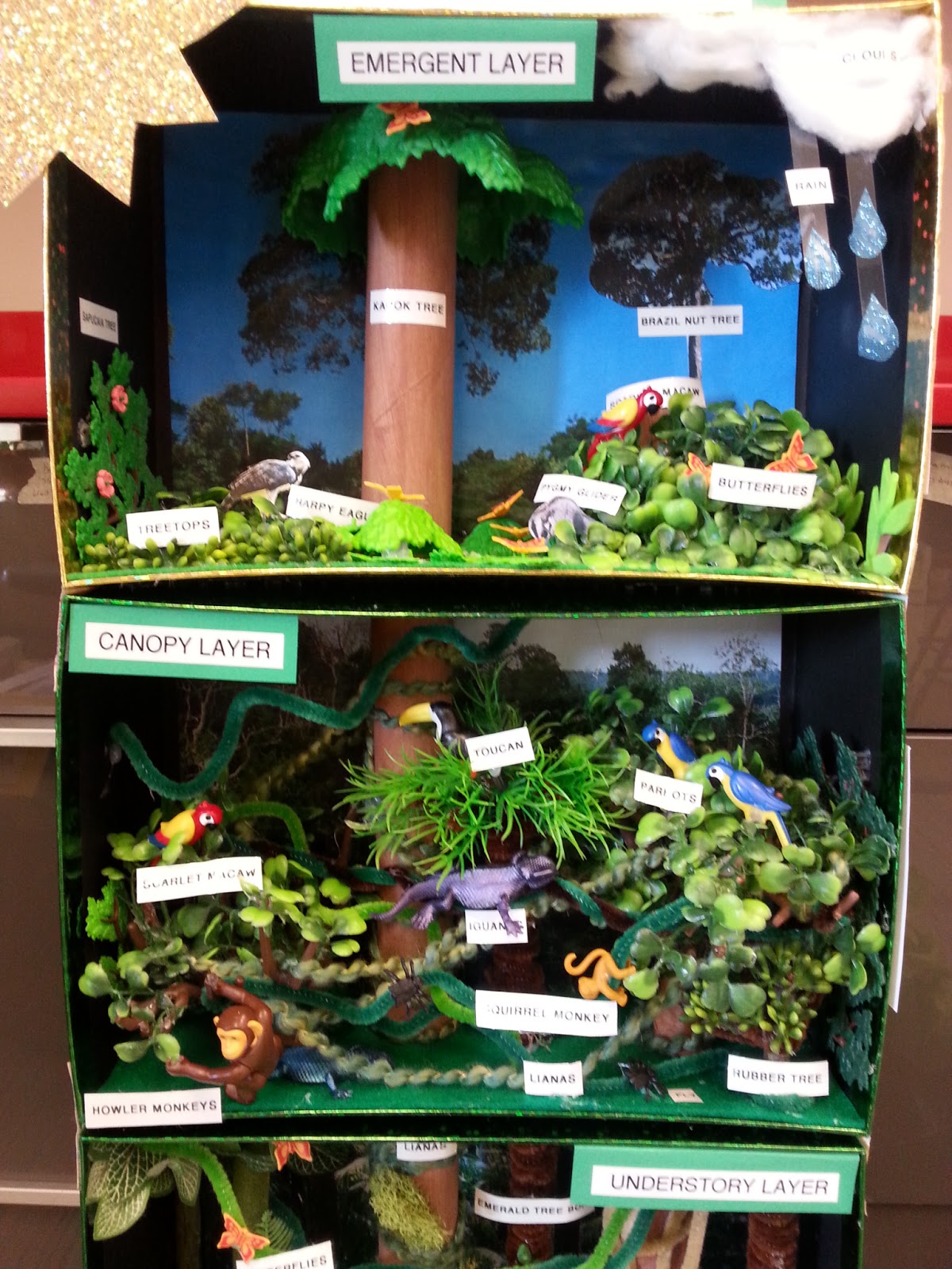 Rainforest Ecosystem Diorama
