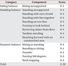 ANIGO PHYSIOTHERAPY: ASSESSMENT SCALES