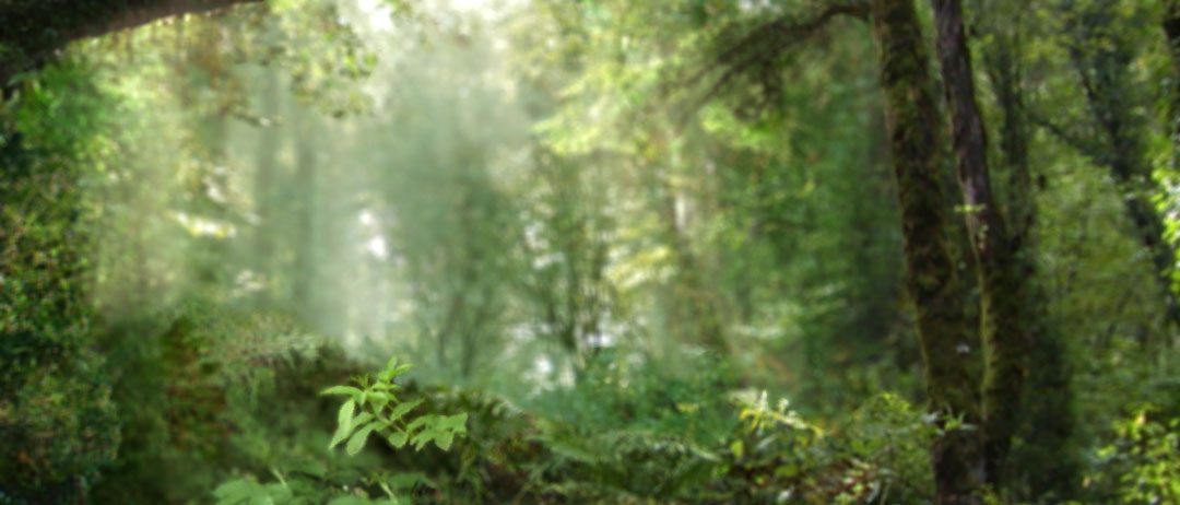 The Art of Terry Hamel