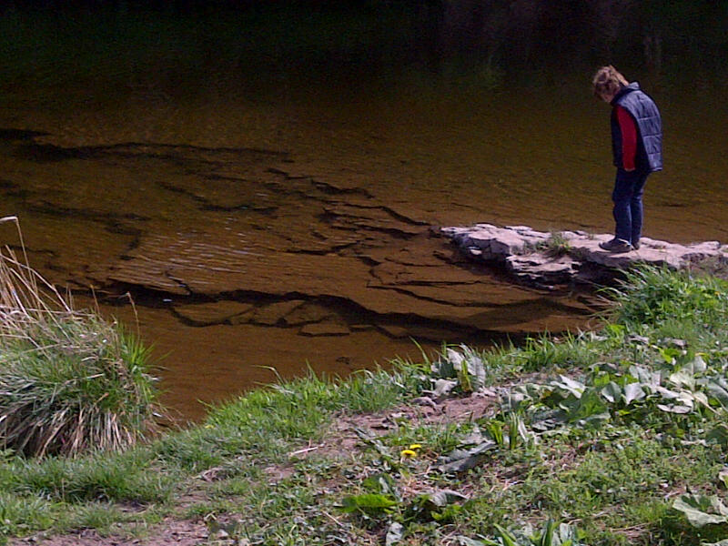 Berwickshire Walks: Allanton Inn to Chirnside Bridge