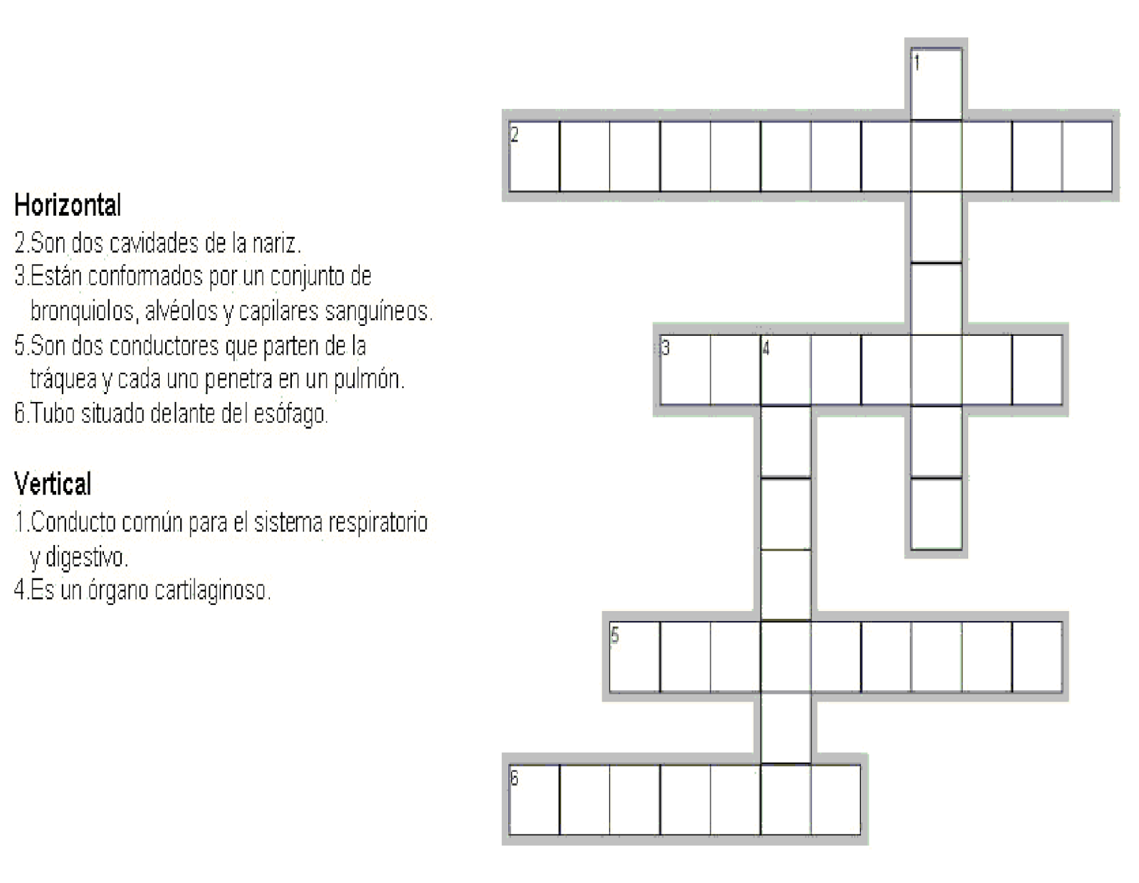 Sopa De Letras Aparato Digestivo Sopa De Letras Plantillas De Images Sopa De Letras Aparato Digestivo Sopa De Letras Plantillas De Images