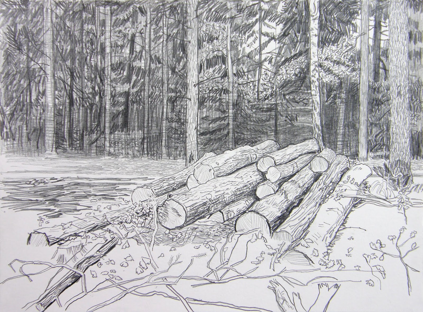 Błażej Tomczak: Rysunki od 2012r.