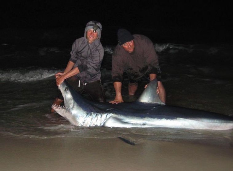 International Fishing News: USA: mako shark of over 550 lb caught from ...
