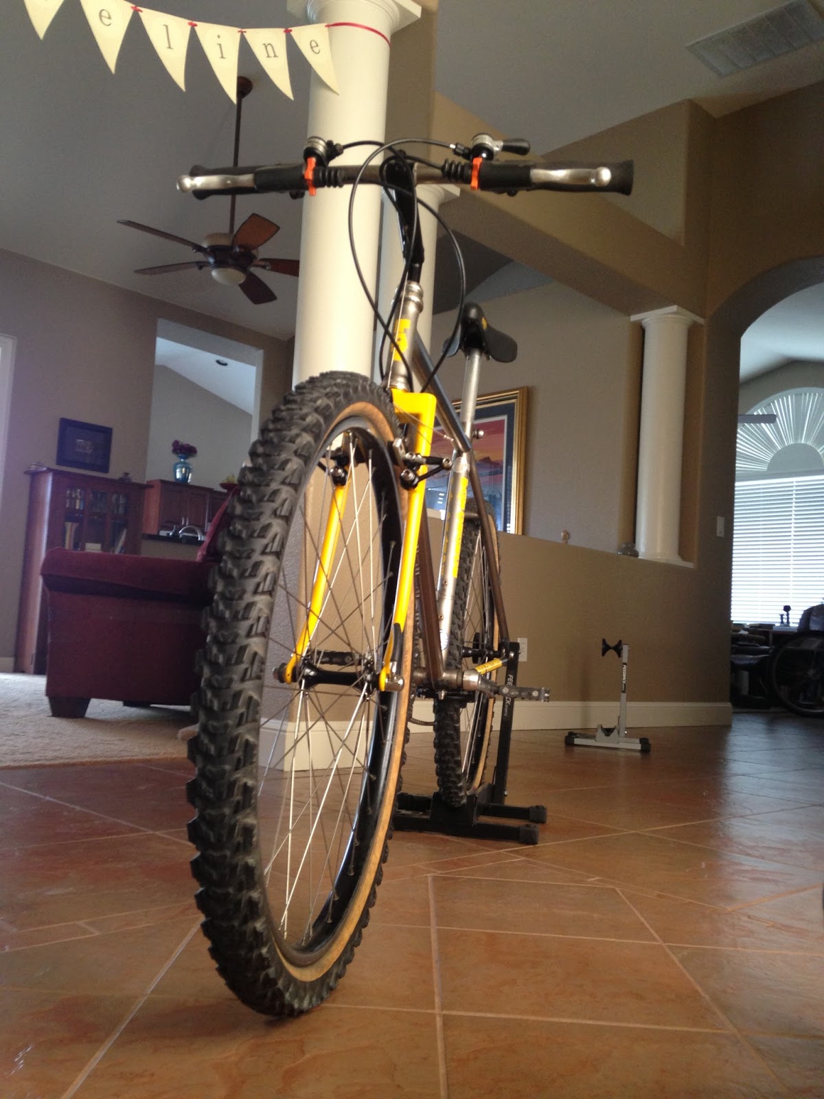 Second Spin Cycles: 1986 Fat Chance Titanium