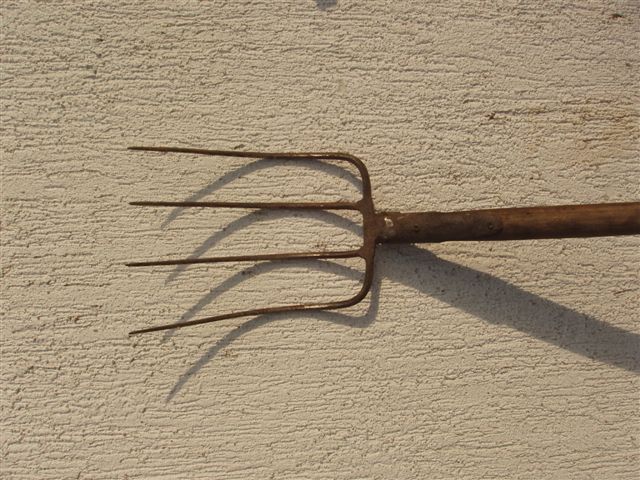 Alma biológica: El Buscanidos